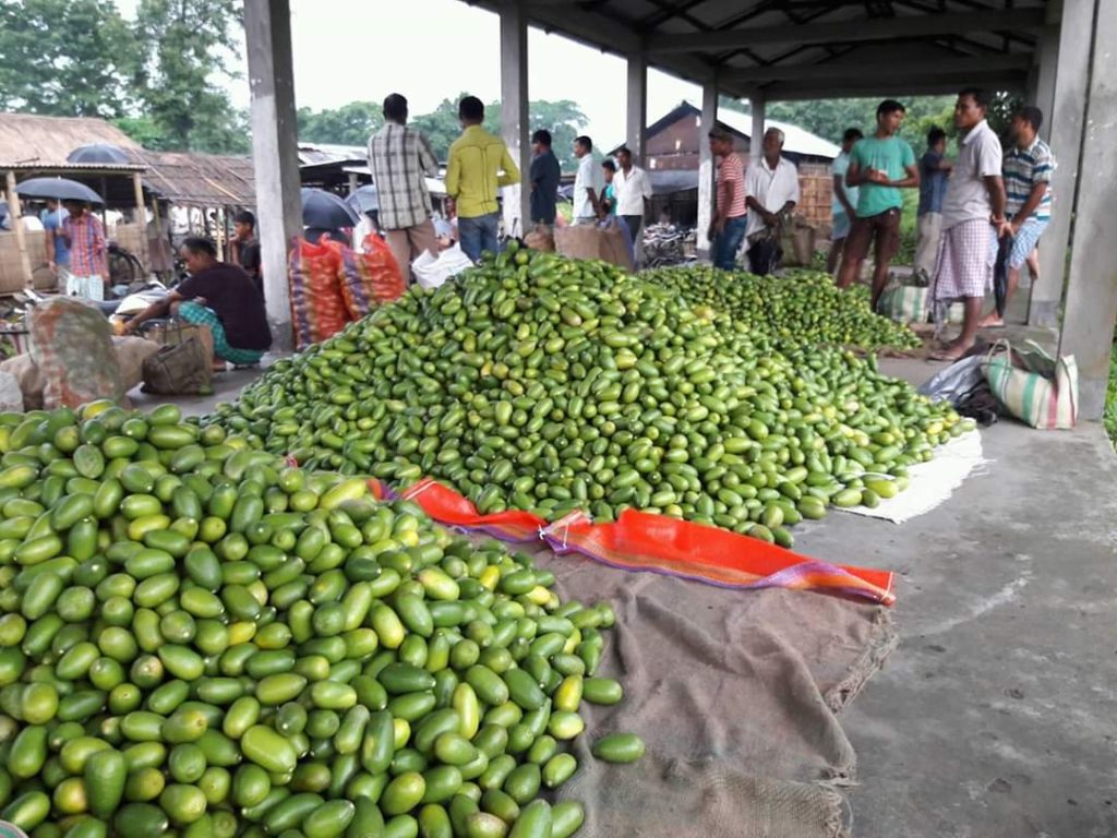 Flavours of Assam – Kaji Nemu – Arijit Purkayastha