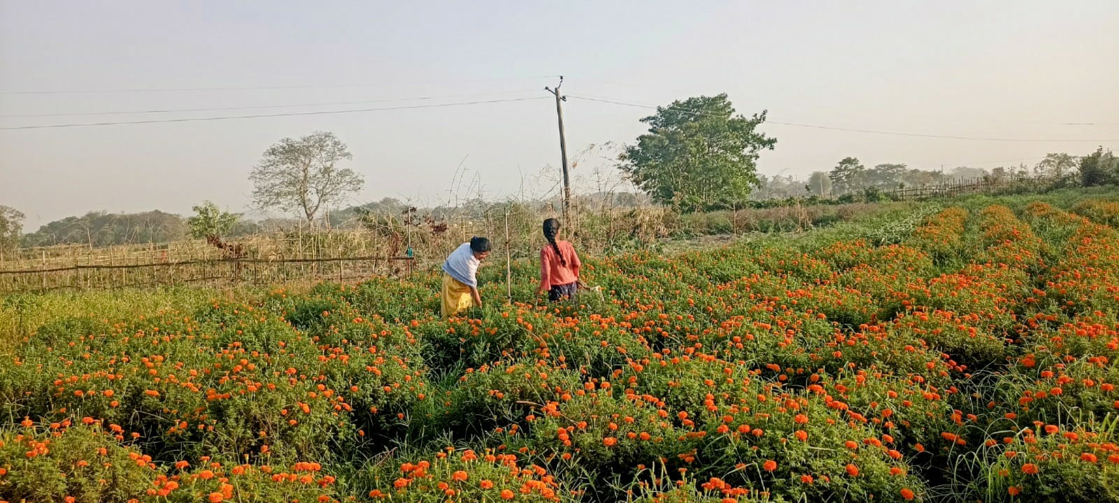 Hajo – of marigolds, shrines and festivals – Arijit Purkayastha
